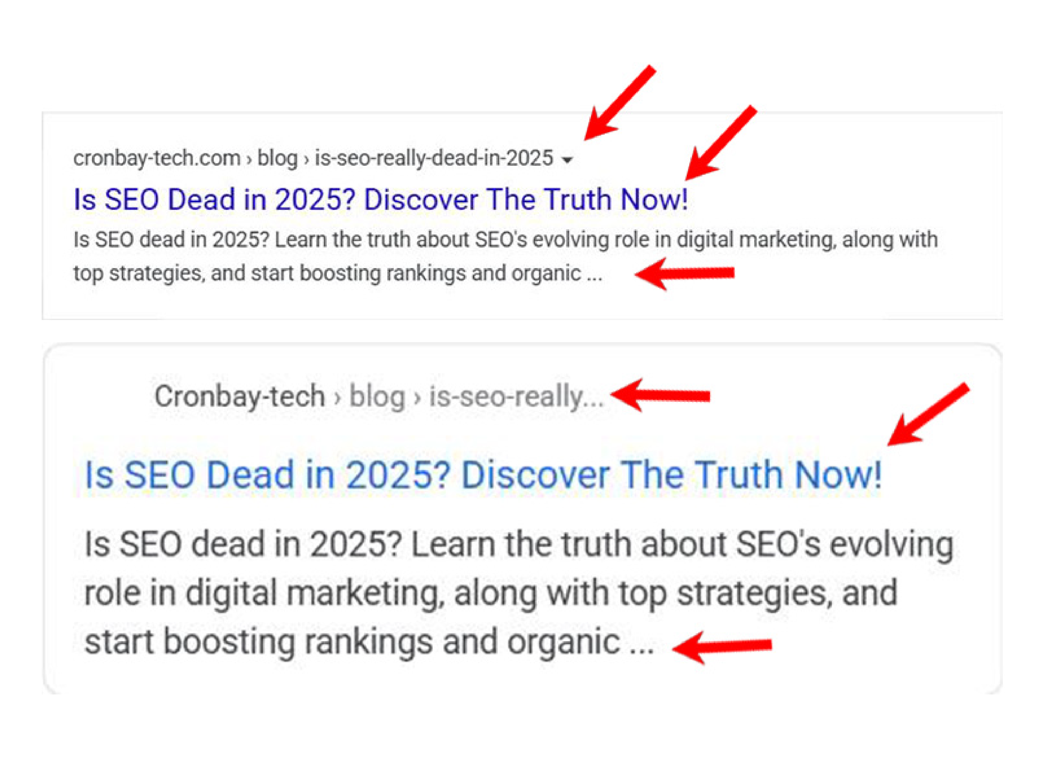 Top 10 SEO Friendly Meta Tags You Must Use in 2025